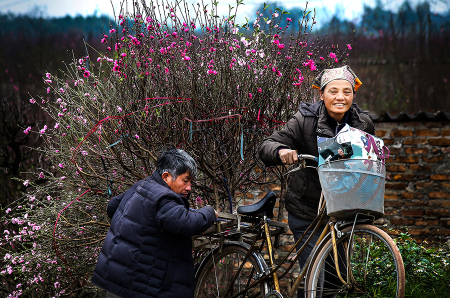 Phát động cuộc thi ảnh nghệ thuật với chủ đề ‘Tình yêu và cuộc sống Hà ...